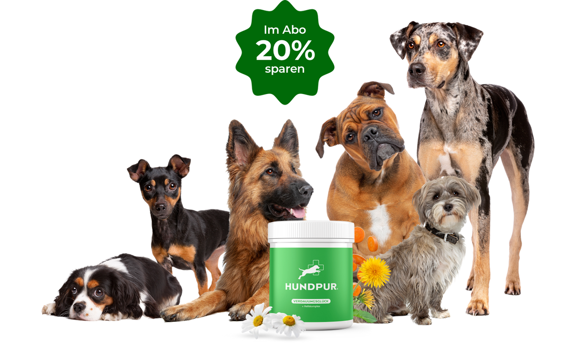 Hundpur® - Hochwertige Futterergänzungen für Deine Fellnase